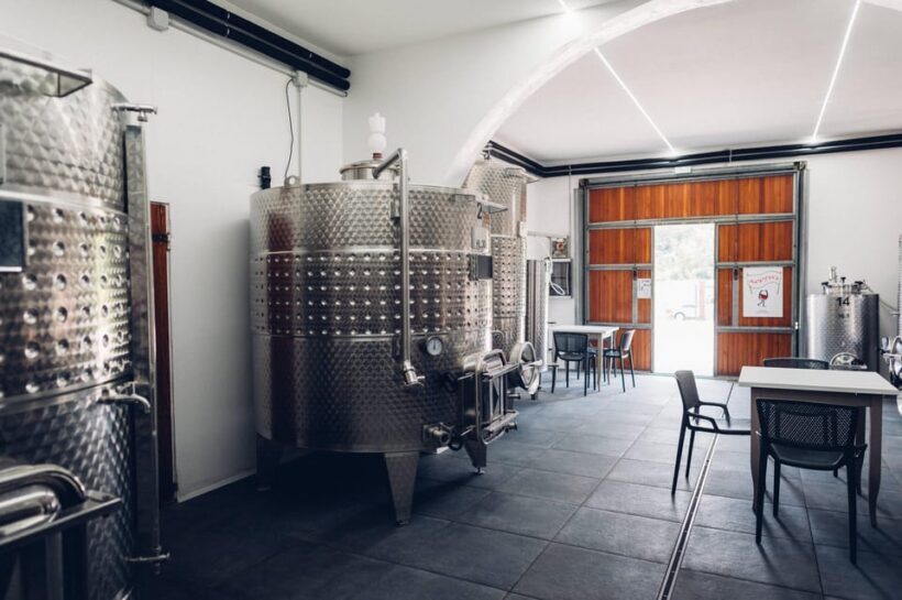 San Miniato: Wine Tour in a Family-Run Tuscan Winery - What You Can Expect from the Tour
