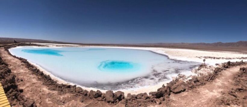 San Pedro Atacama: Baltinache Lagoons - What to Expect on the Baltinache Lagoons Tour