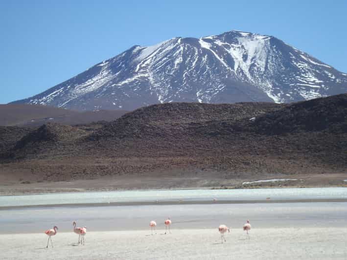 San Pedro de Atacama: 3 D. Tour Uyuni and Back to San Pedro - Transport, Accommodation, and Meals: What Does It Mean for You?