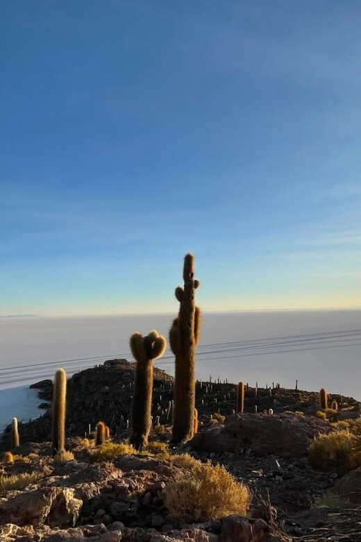 San Pedro de Atacama: 4-Day Uyuni Salt Flats Tour - What Travelers Are Saying