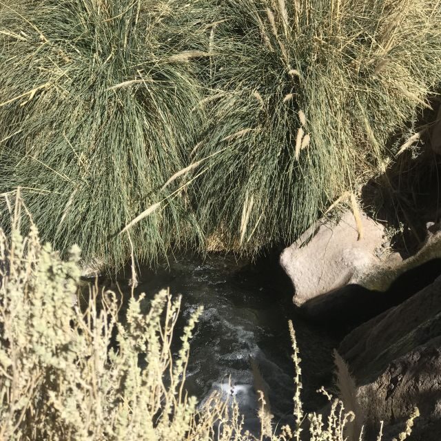 San Pedro de Atacama: Canyon Swimming Pools Trekking Trip - Key Points