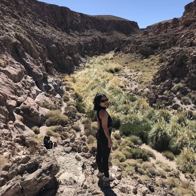 San Pedro de Atacama: Canyon Swimming Pools Trekking Trip - Exploring the Canyon of Puritama’s River