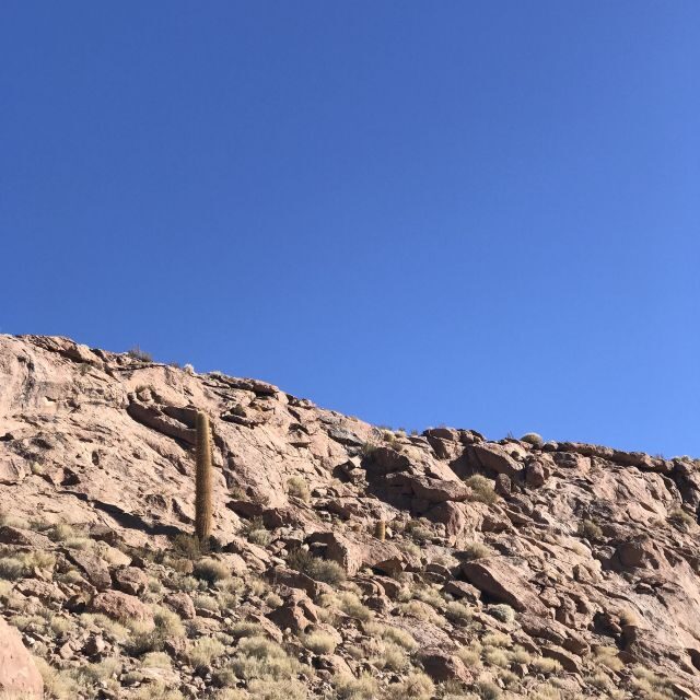 San Pedro de Atacama: Canyon Swimming Pools Trekking Trip - Authentic Experience and Value