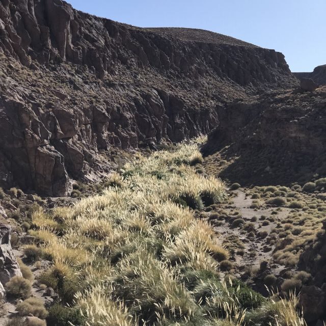 San Pedro de Atacama: Canyon Swimming Pools Trekking Trip - Who Should Consider This Tour?