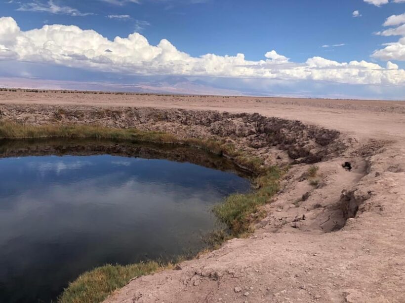 San Pedro de Atacama: Cejar Lagoon, Tebenquiche & Ojos Salar - An Introduction to the Tour Experience