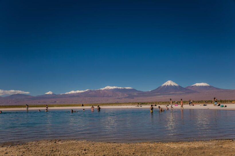 San Pedro de Atacama: Cejar Lagoon, Tebenquiche & Ojos Salar - What Travelers Say