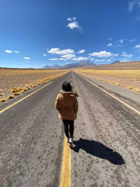 San Pedro de Atacama: Piedras Rojas and Lagunas Altiplanica - Key Points