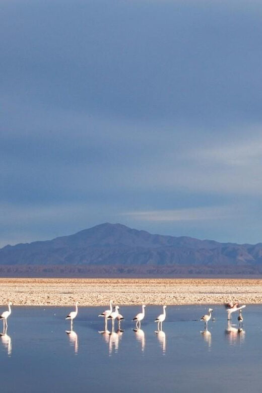 San Pedro de Atacama: Piedras Rojas, Salar de Atacama, Lakes - What’s Included and What’s Not