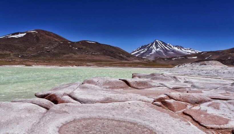 San Pedro de Atacama: Piedras Rojas, Salar de Atacama, Lakes - The Value of This Tour