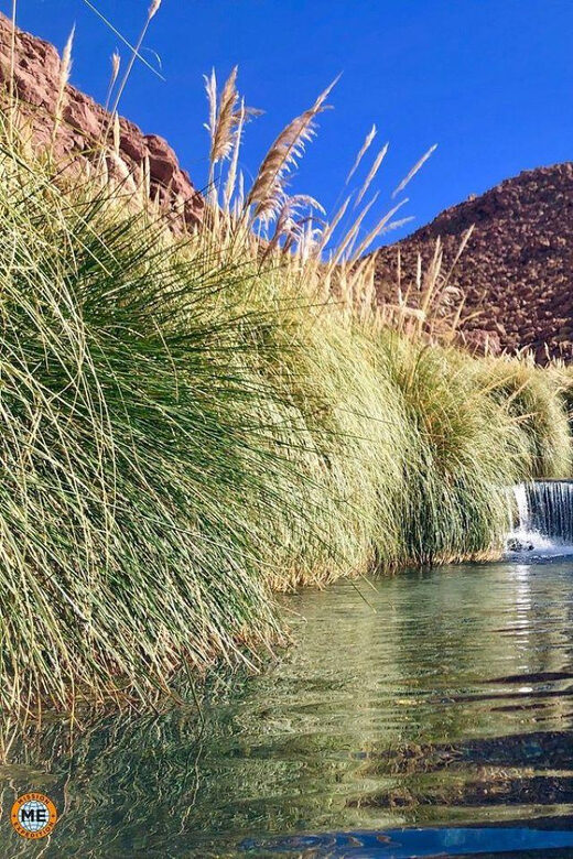 San Pedro de Atacama: Puritama Hot Springs - Key Points