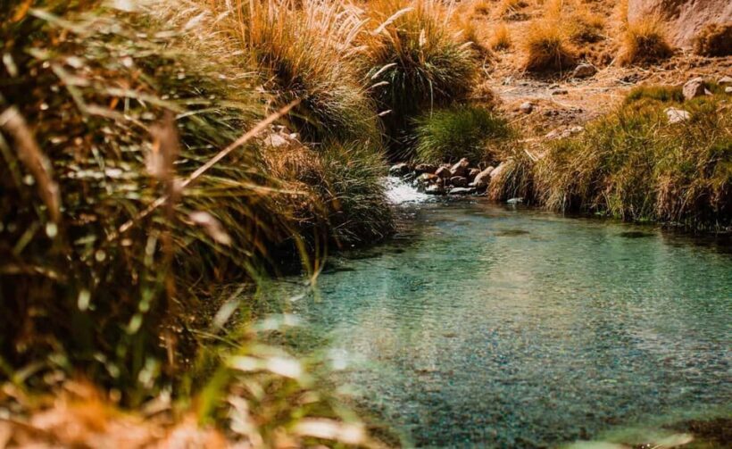 San Pedro de Atacama: Puritama Hot Springs - Who Should Consider This Tour?