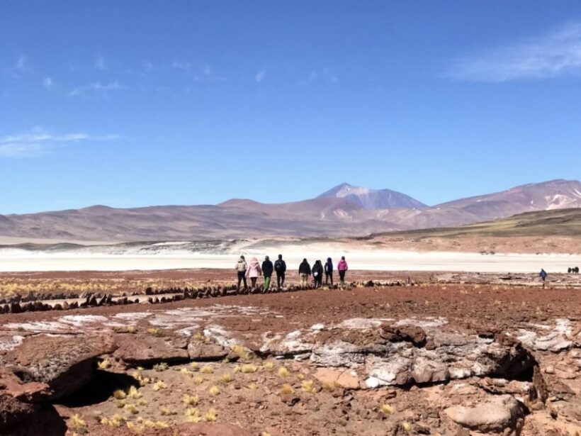 San Pedro de Atacama: Red Rocks & Altiplano Lagoons Day Trip - The Altiplanic Lagoons: Miscanti and Miñiques