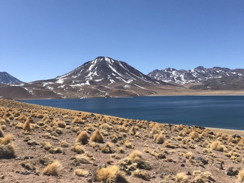 San Pedro de Atacama: Red Rocks & Altiplano Lagoons Day Trip - Lunch and Rest: A Highlight of the Trip