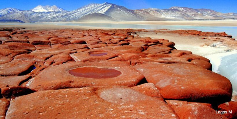 San Pedro de Atacama: Red Rocks & Altiplano Lagoons Day Trip - Practical Tips for Travelers