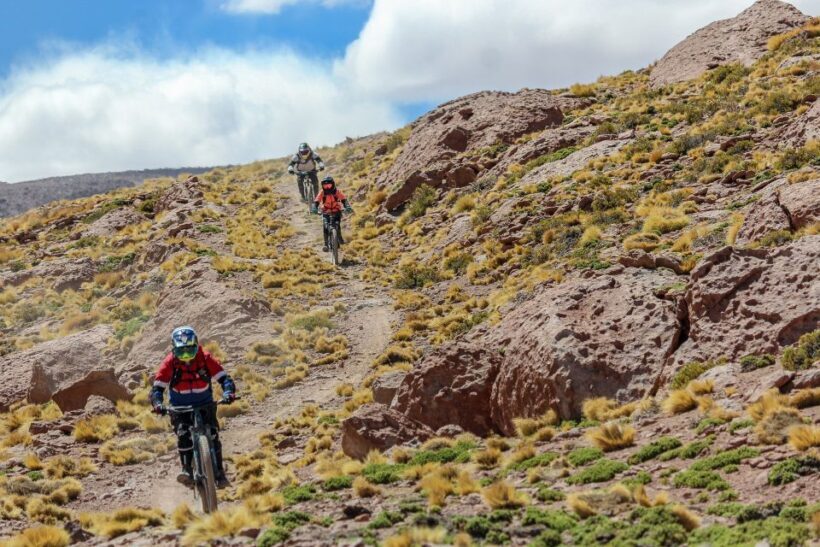 San Pedro de Atacama: Volcano Downhill Bike Tour - The Sum Up
