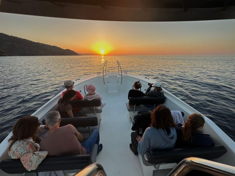 San Sebastian: 2 Bays Evening or Sunset Boat Tour with Cava - Why This Tour Stands Out