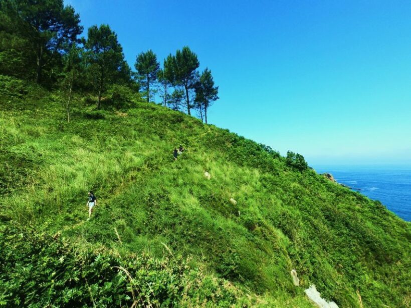 San Sebastián: Hike in the North Way of Saint James - Brunch at a Fishermen’s Tavern: Tasting Basque Flavors