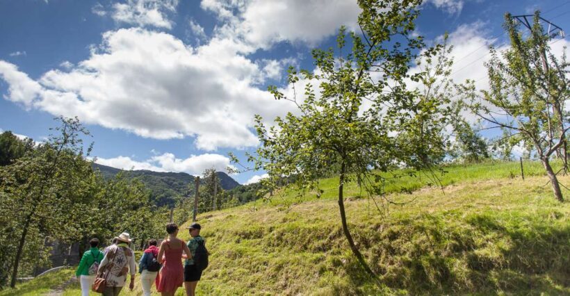San Sebastián: Traditional Cider House Tour with Lunch - Exploring the Cider House Experience