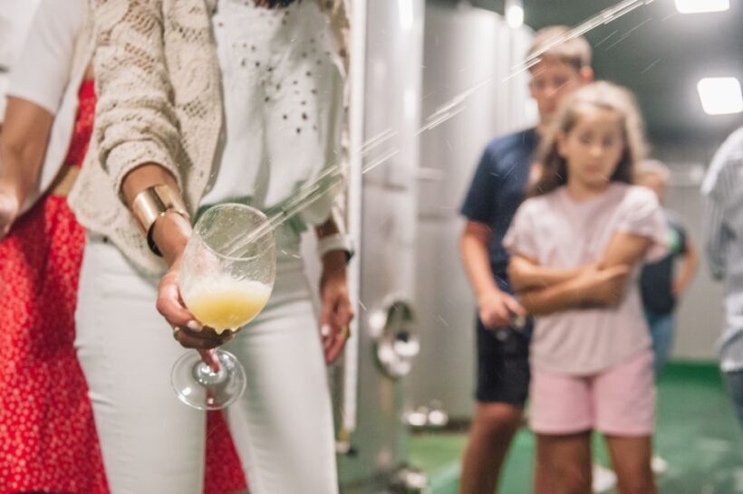San Sebastián: Traditional Cider House Tour with Lunch - Who Will Enjoy This Tour?