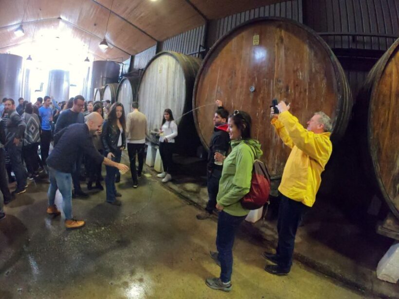 San Sebastián: Unique and Fun Basque Cider Culture Tour - Discovering Basque Cider: An Authentic Tradition