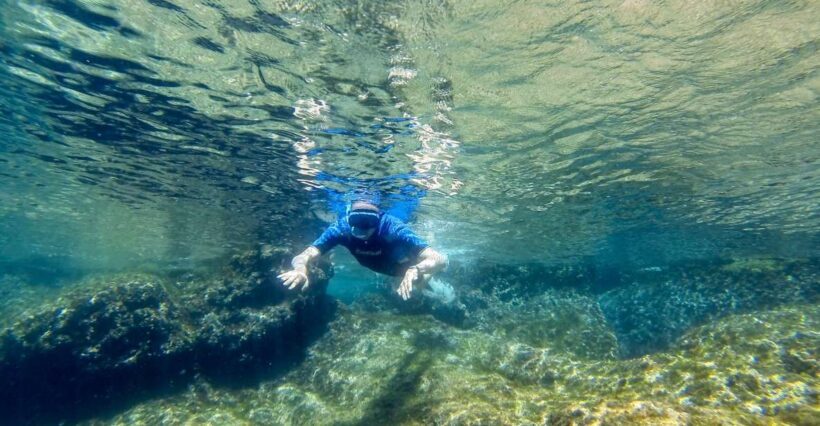 San Terenzo: Portovenere Natural Park Snorkeling Trip - What’s Included and What to Expect