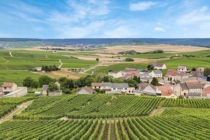 Sancerre Private Wine Tour with 10 Tastings and Lunch from Paris - Who Should Book This Tour?