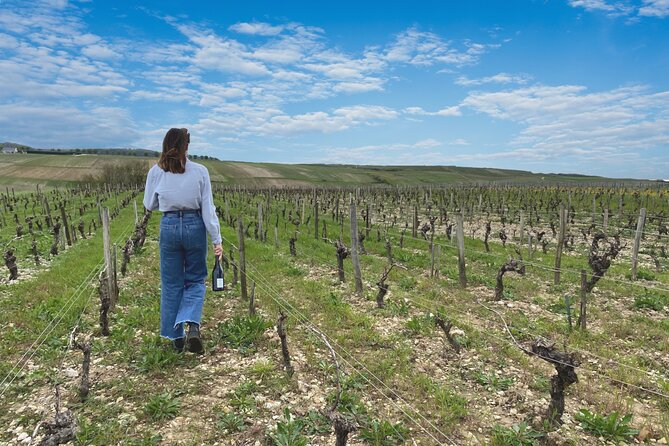 Sancerre Small Group Wine Day Trip With Wine Tastings and Lunch - The Wine Tasting Experience