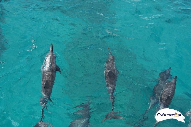 Sancho Bay Boat Tour - Meeting and Pickup