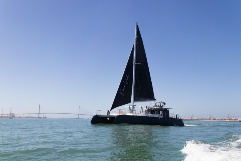 Sancti Petri: Catamaran Cruise with Swim Stop and lunch - Practical Tips for Your Trip