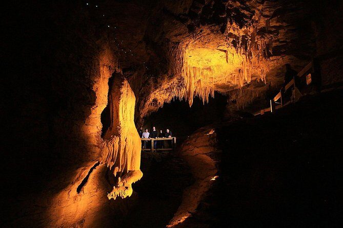 Sanctuary Mountain (Mt Maungatautari) & Waitomo Luxury Day tour from Auckland - Key Points