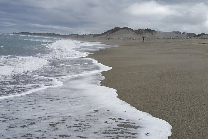 Sand Dunes National Heritage Park& Natadola Beach Half Day Tour - A Deep Dive into the Experience