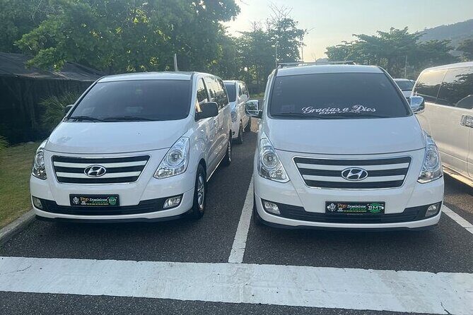 Sand fell Paradise Island Excursions - An In-Depth Look at the Tour Experience