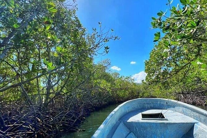 Sand Key and Bonita Island Tour  Paradise from Puerto Plata - Final Thoughts