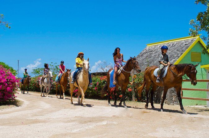 Sand n Saddle Horseback Ride & Swim Tour from Falmouth - The Sum Up