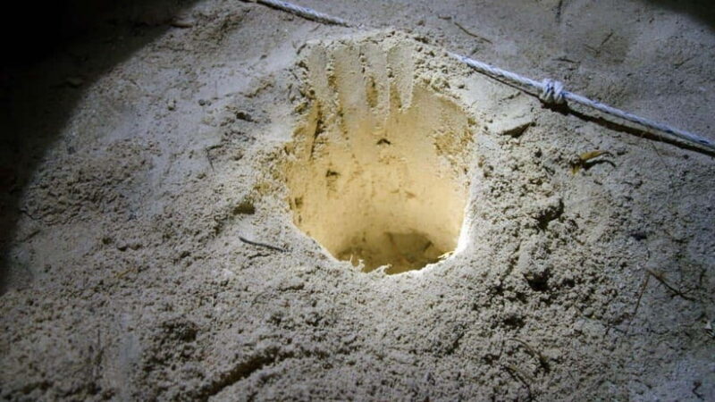 Sandakan : 2 Days 1 Night At Turtle Island - FAQs