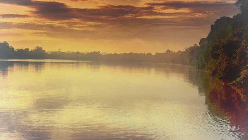 Sandakan: 2 Days 1 Night Bilit, Kinabatangan River Wildlife - FAQs