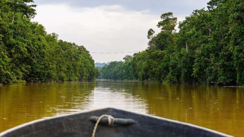 Sandakan : 3-Day Kinabatangan River Wildlife Adventure - Key Points