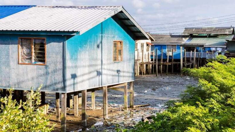 Sandakan : Fireflies and Mangrove Cruise with Dinner - Who Should Book This Tour?