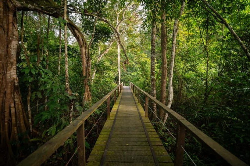 Sandakan: Kinabatangan River Wildlife Cruise with Lunch - Final Thoughts: Is It Worth It?