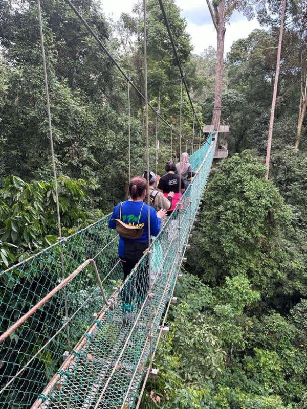 Sandakan: Orangutan Sanctuary Shared Day Trip Tour - The Logistics and Value