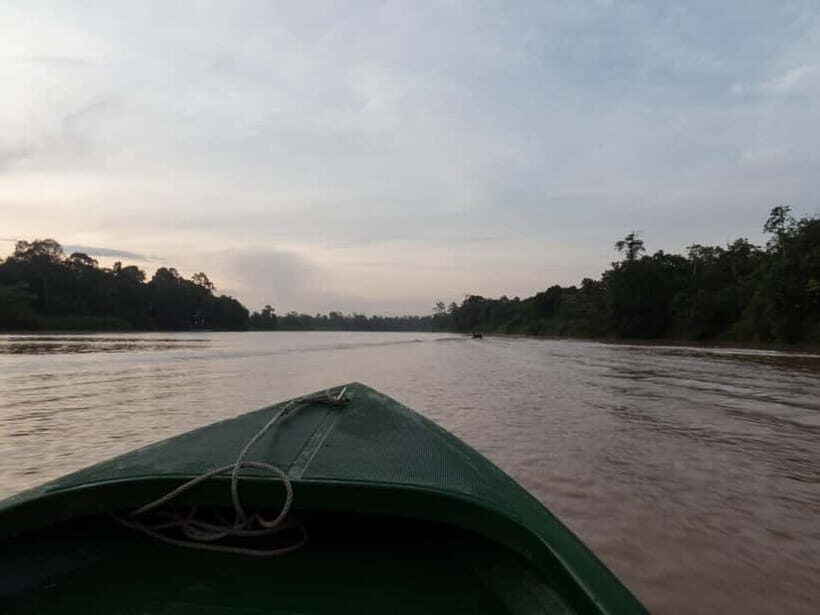 Sandakan: Sukau Rainforest Wildlife Journey & Dawn Cruises - Key Points