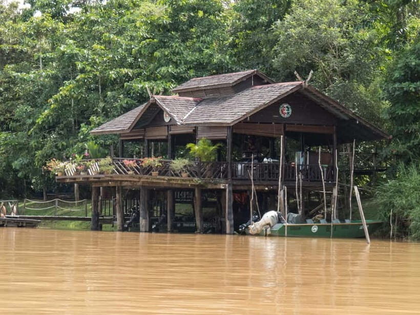 Sandakan: Sukau Rainforest Wildlife Journey & Dawn Cruises - Exploring the Kinabatangan River: A Closer Look