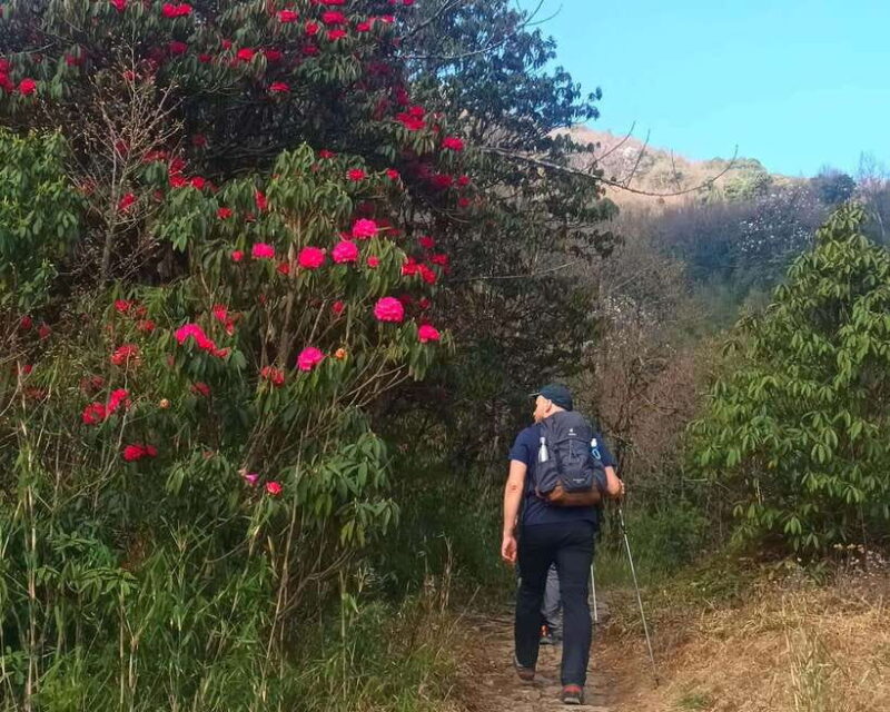 Sandakphu Singalila Ridge Trek - 6 Days - Final Thoughts