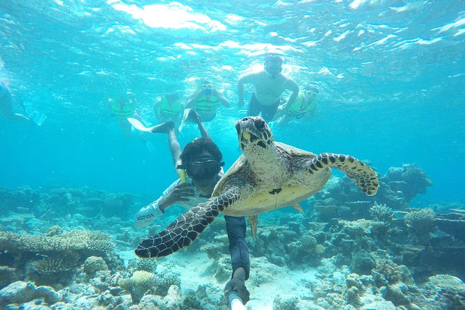 Sandbank Snorkeling and Sunset Cruise - FAQs