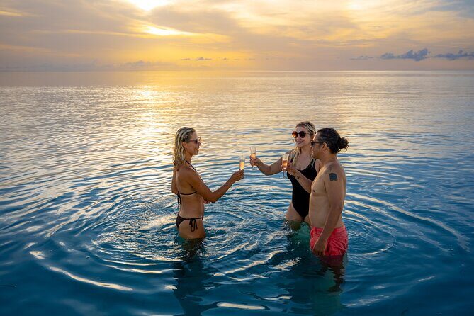 Sandbar Adventure - Private Eco Charter in Key West - The Experience in Detail