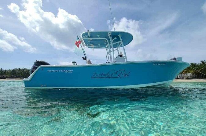 Sandbar, Beach, Dolphin Watching Cruise Sarasota, Florida - Frequently Asked Questions