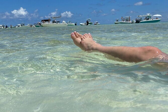 Sandbar Excursion - Final Thoughts