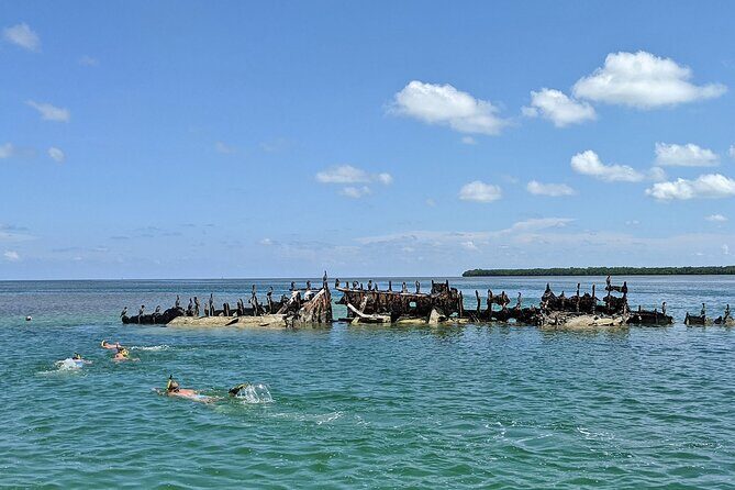Sandbar Excursion in Key West - An In-Depth Look at the Sandbar Excursion