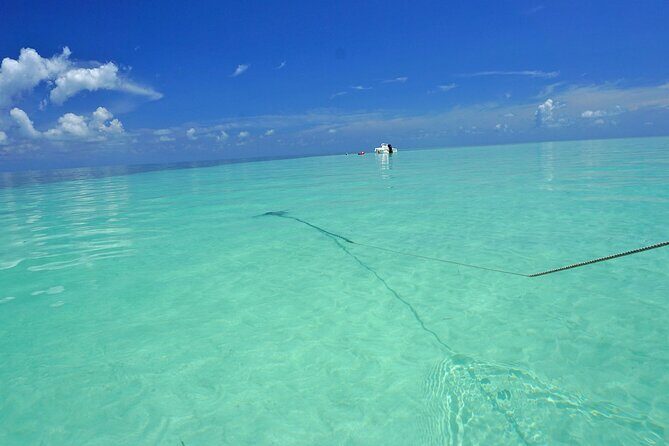 Sandbar Excursion in Key West - FAQ