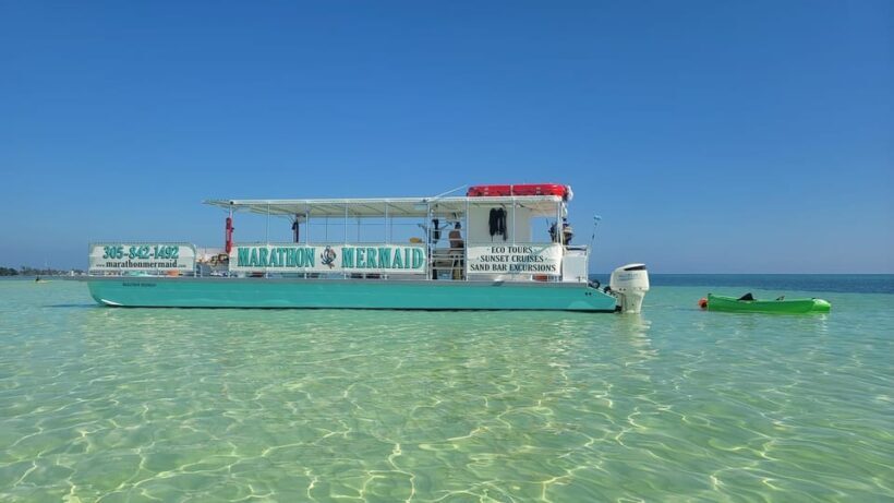 Sandbar Excursion - Vacation Like the Locals Do! - Why This Tour Offers Value